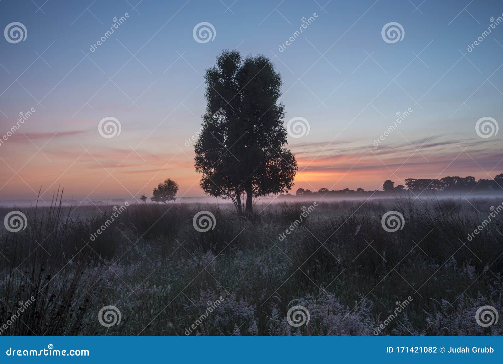 Misty Fields in Farm at Sunrise Stock Photo - Image of misty, nature ...