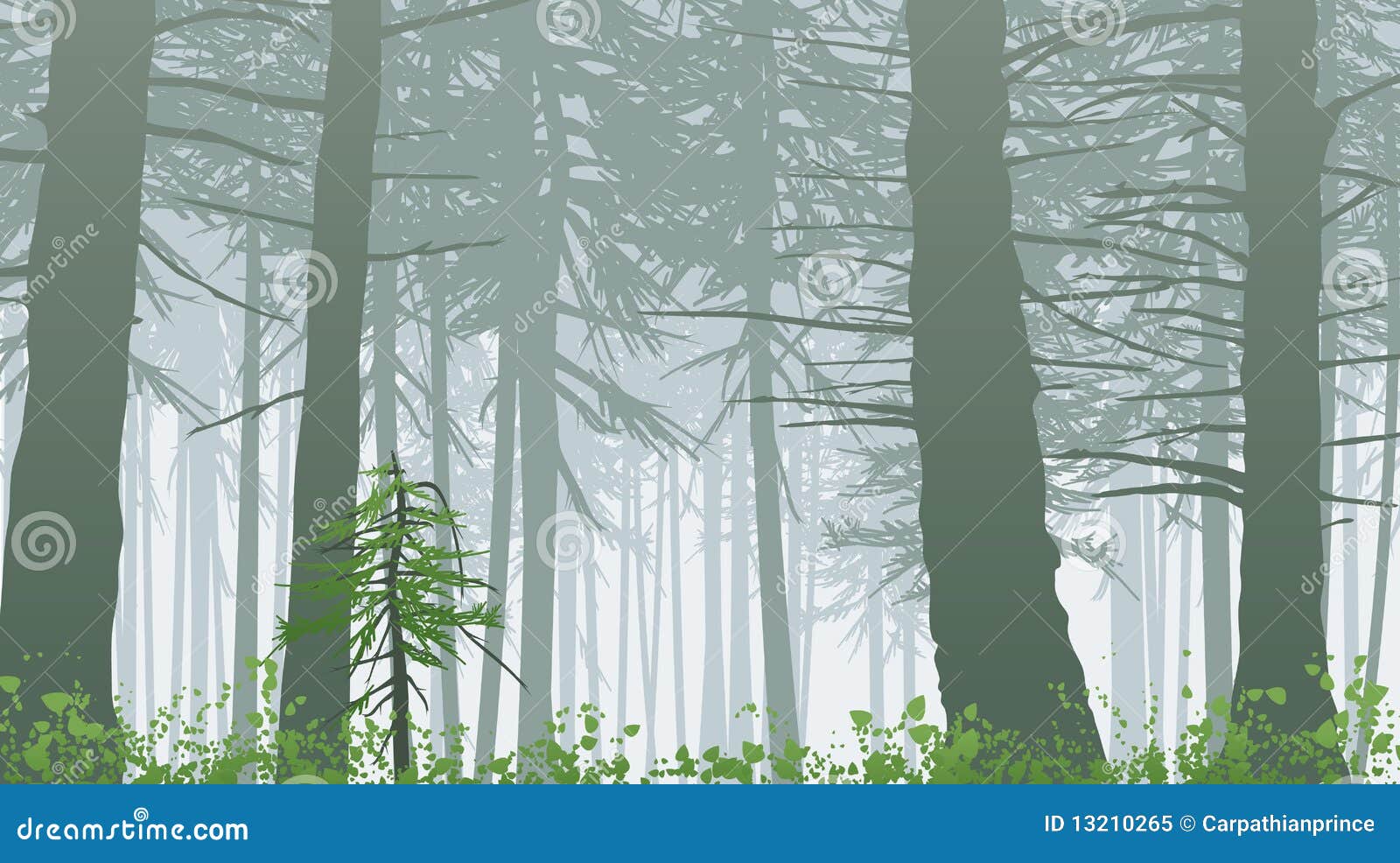 Canopy Temperate Deciduous Forest Royalty-Free Cartoon | CartoonDealer ...