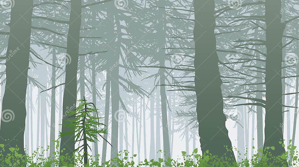 Misty forest stock vector. Illustration of light, canopy - 13210265