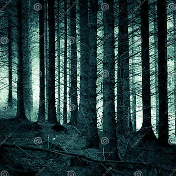 Misty forest stock photo. Image of forest, dark, mist - 15690176