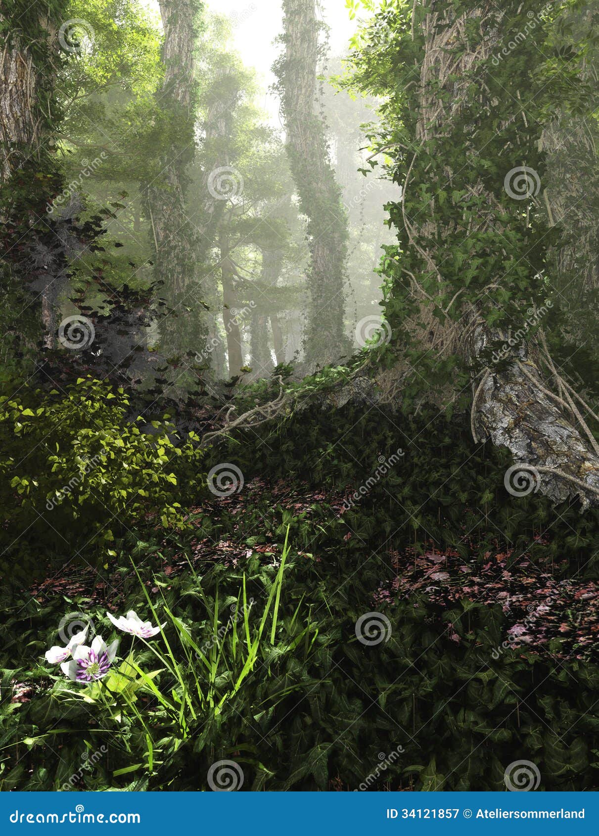 Misty Forest, 3d Computer Graphics Stock Illustration - Illustration of ...