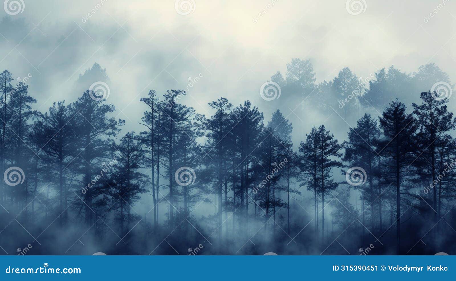 Misty Forest at Dawn with Silhouette of Pine Trees Stock Image - Image ...