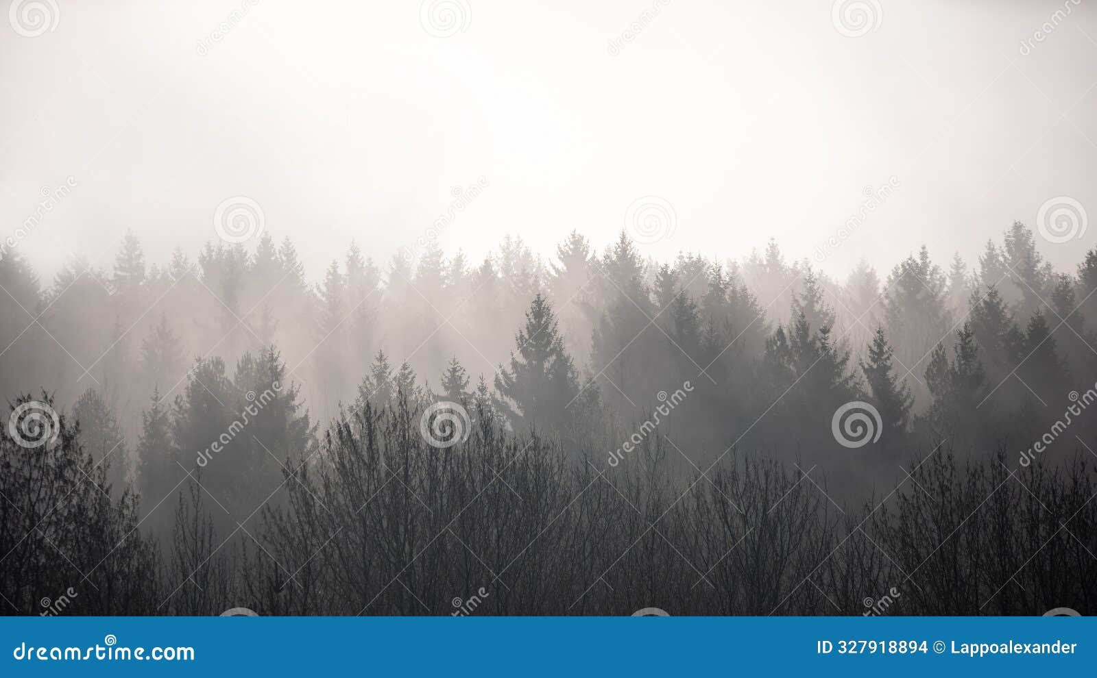 Misty Forest with Layered Tree Silhouettes Fading into a White ...