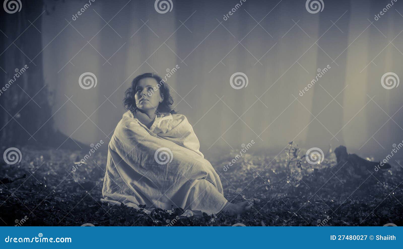 In the Misty Forest Lost Woman Looking for Help Stock Image - Image of ...