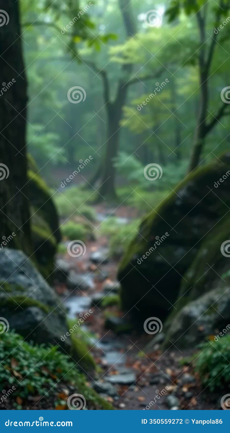Misty Forest Scene with a Rocky Path and Lush Greenery Stock Photo ...