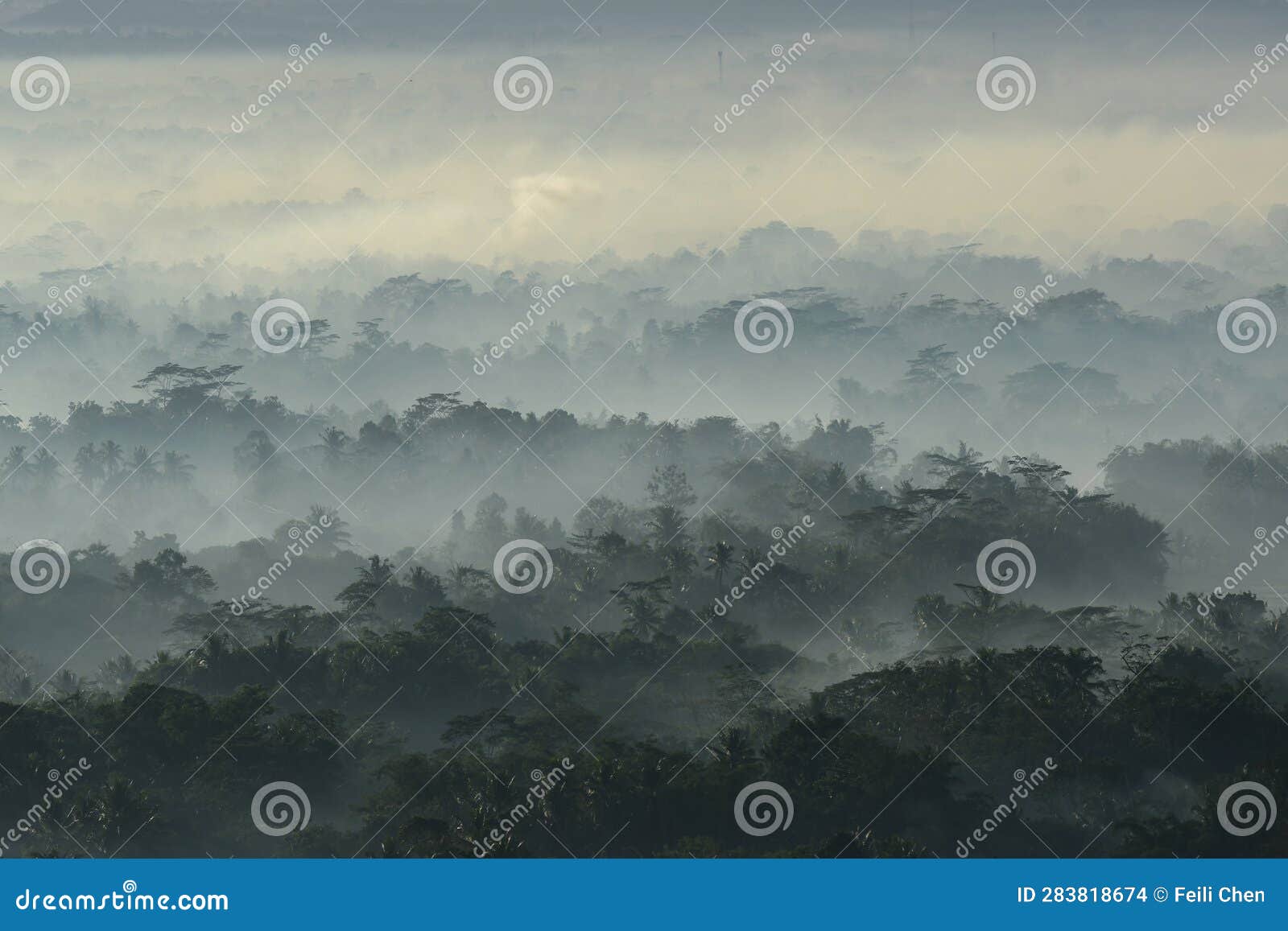 Misty Forest Seen from Top at Morning, Java Stock Photo - Image of ...