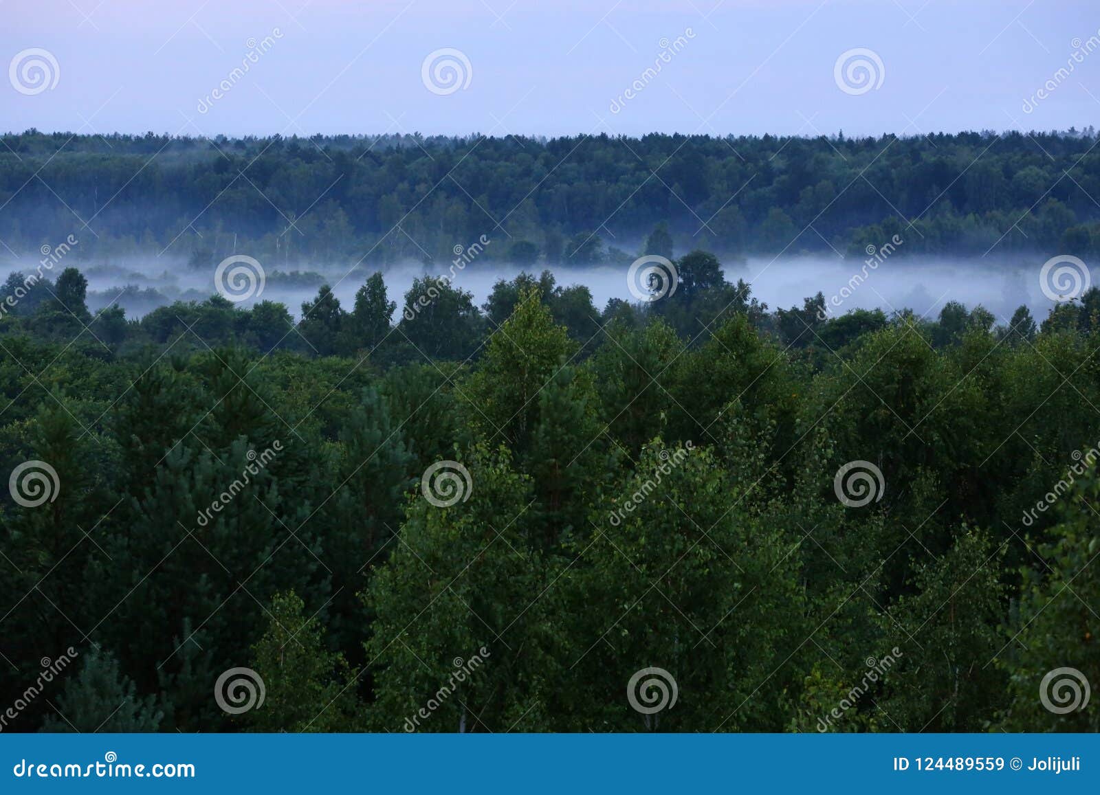 Mist after the rain stock image. Image of trees, clouds - 124489559