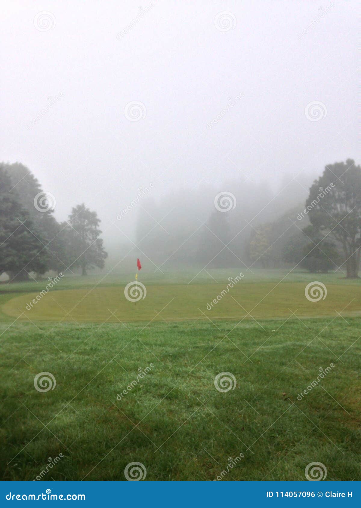 Misty golf course stock photo. Image of outdoors, lone - 114057096