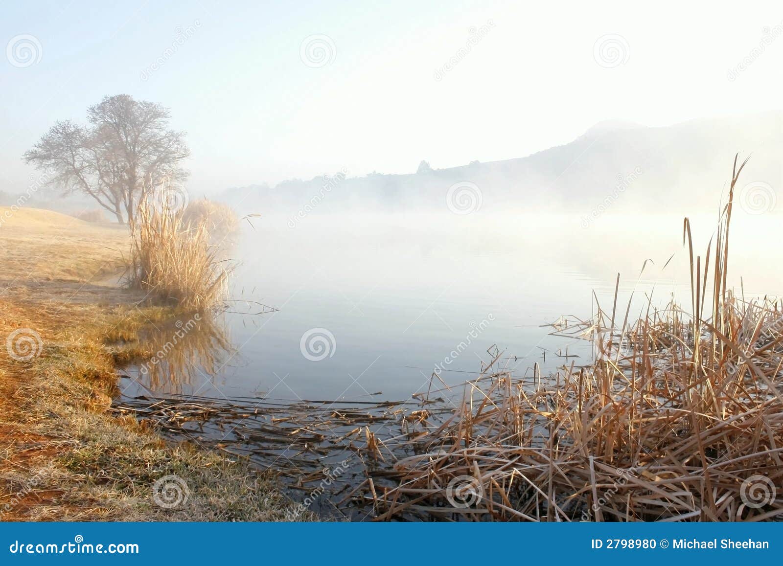 Misty lake stock photo. Image of winter, water, shadows - 2798980
