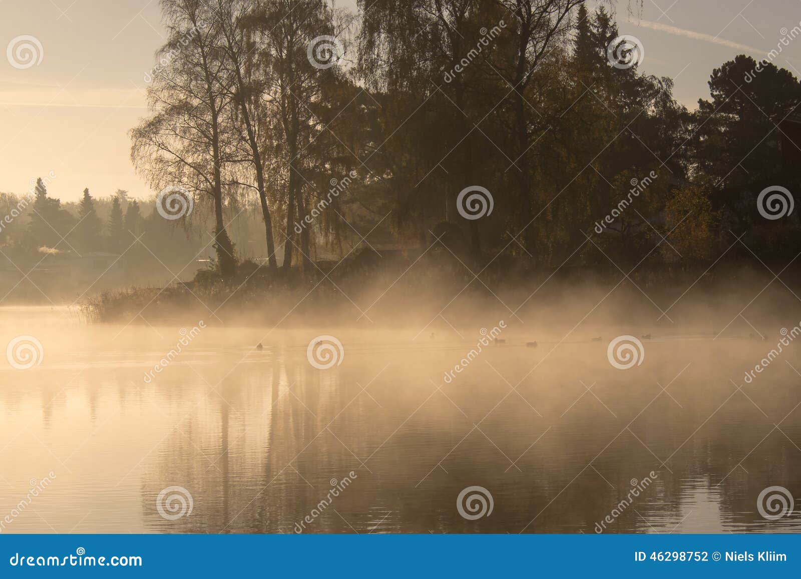 Misty lake stock photo. Image of nature, haze, beautiful - 46298752