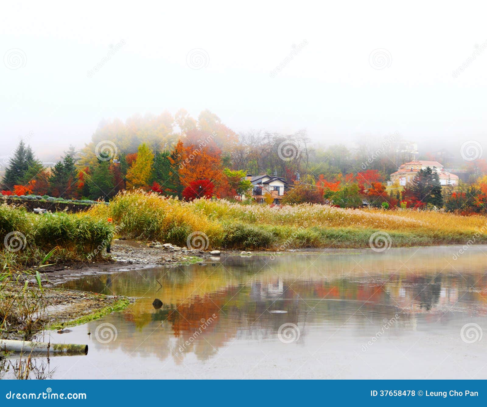 Misty lake stock photo. Image of autumn, vermont, moss - 37658478