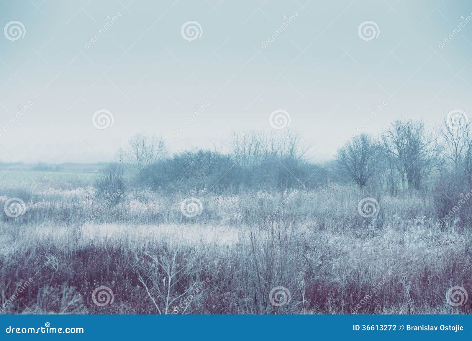 Misty landscape stock photo. Image of vegetation, blue - 36613272