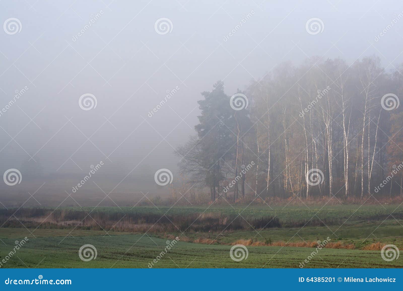 Misty landscape stock image. Image of landscape, mystery - 64385201