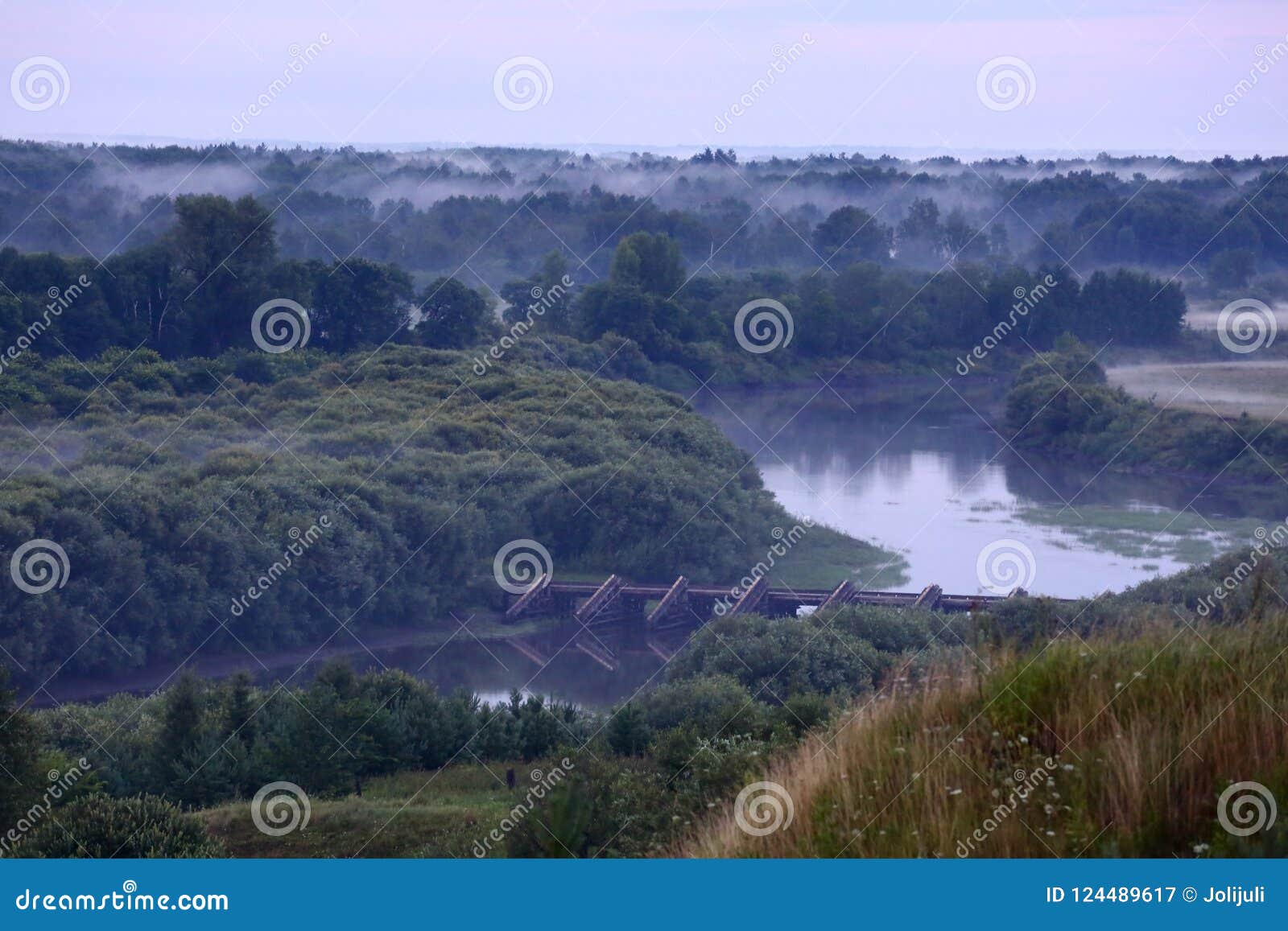 Mist after the rain stock image. Image of birch, countryside - 124489617