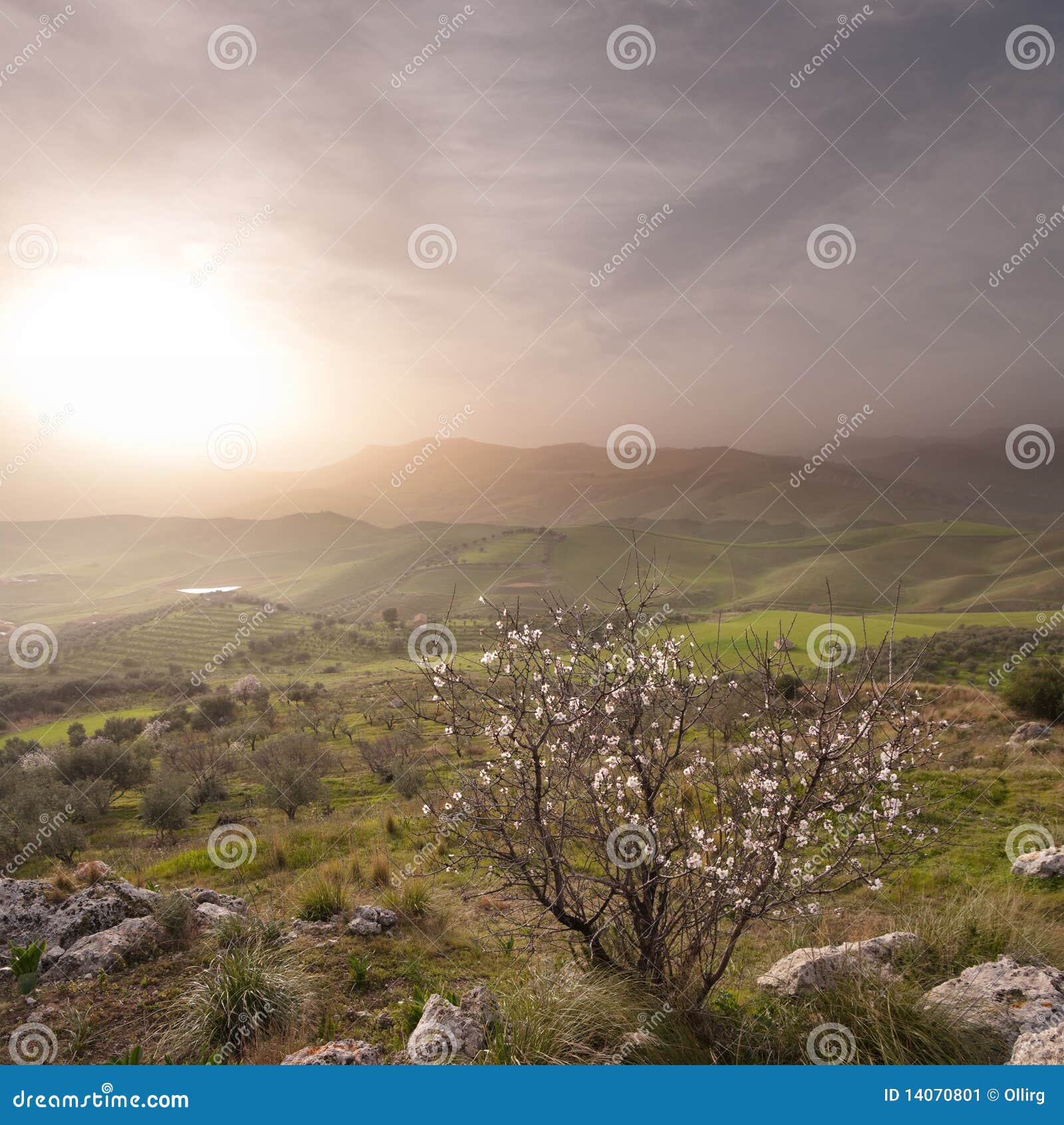 Misty Landscape of Sicilian Hinterland Stock Image - Image of moody ...