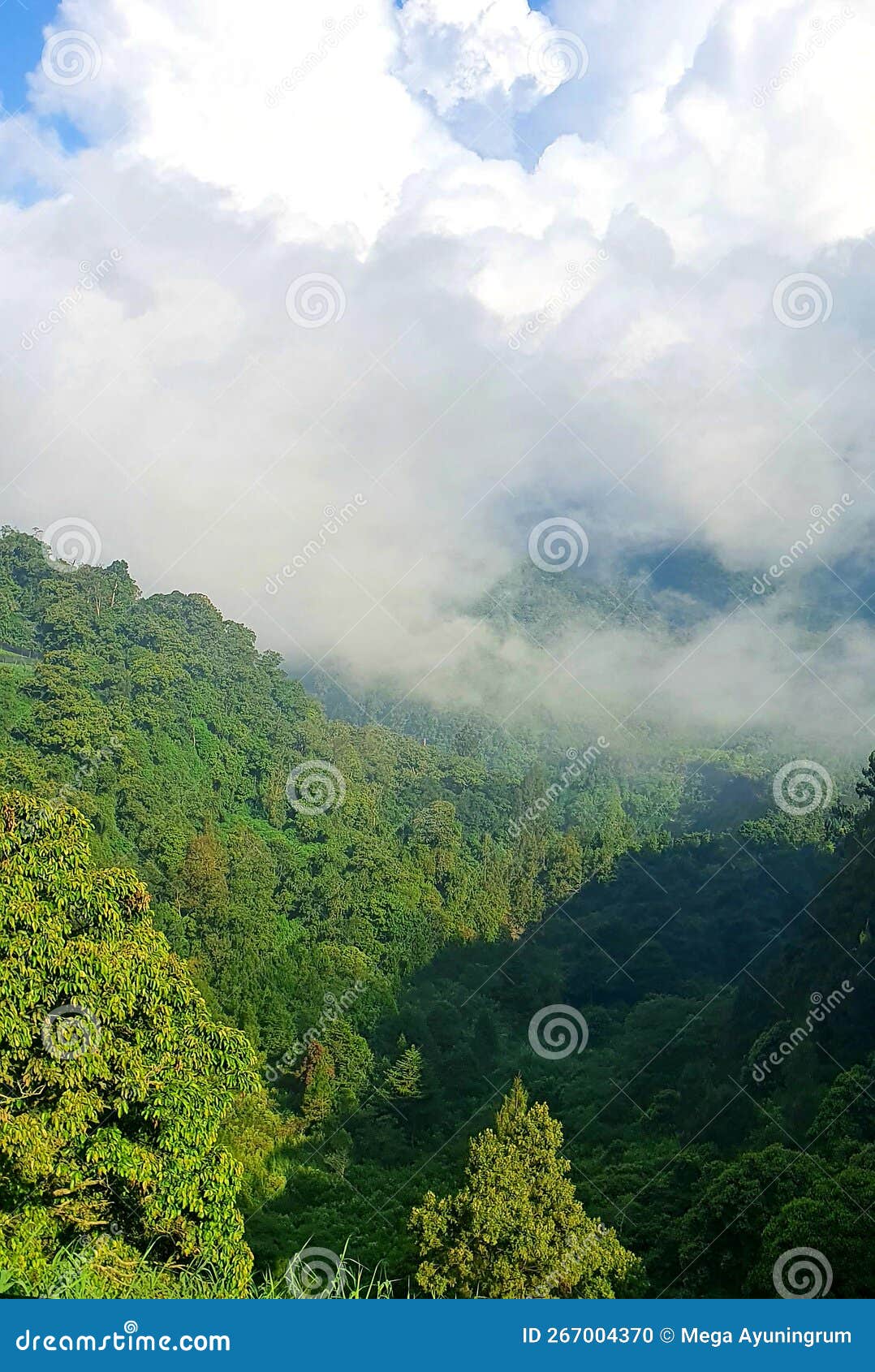 Misty Green Hill in Lawu Mountain, Magetan, East Java Stock Photo ...