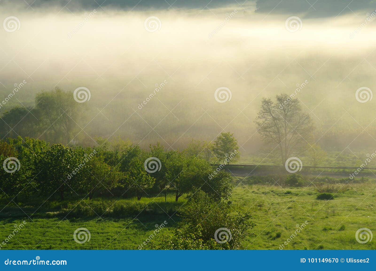 Misty Meadow Spring at Sunrise Stock Photo - Image of mist, orange ...