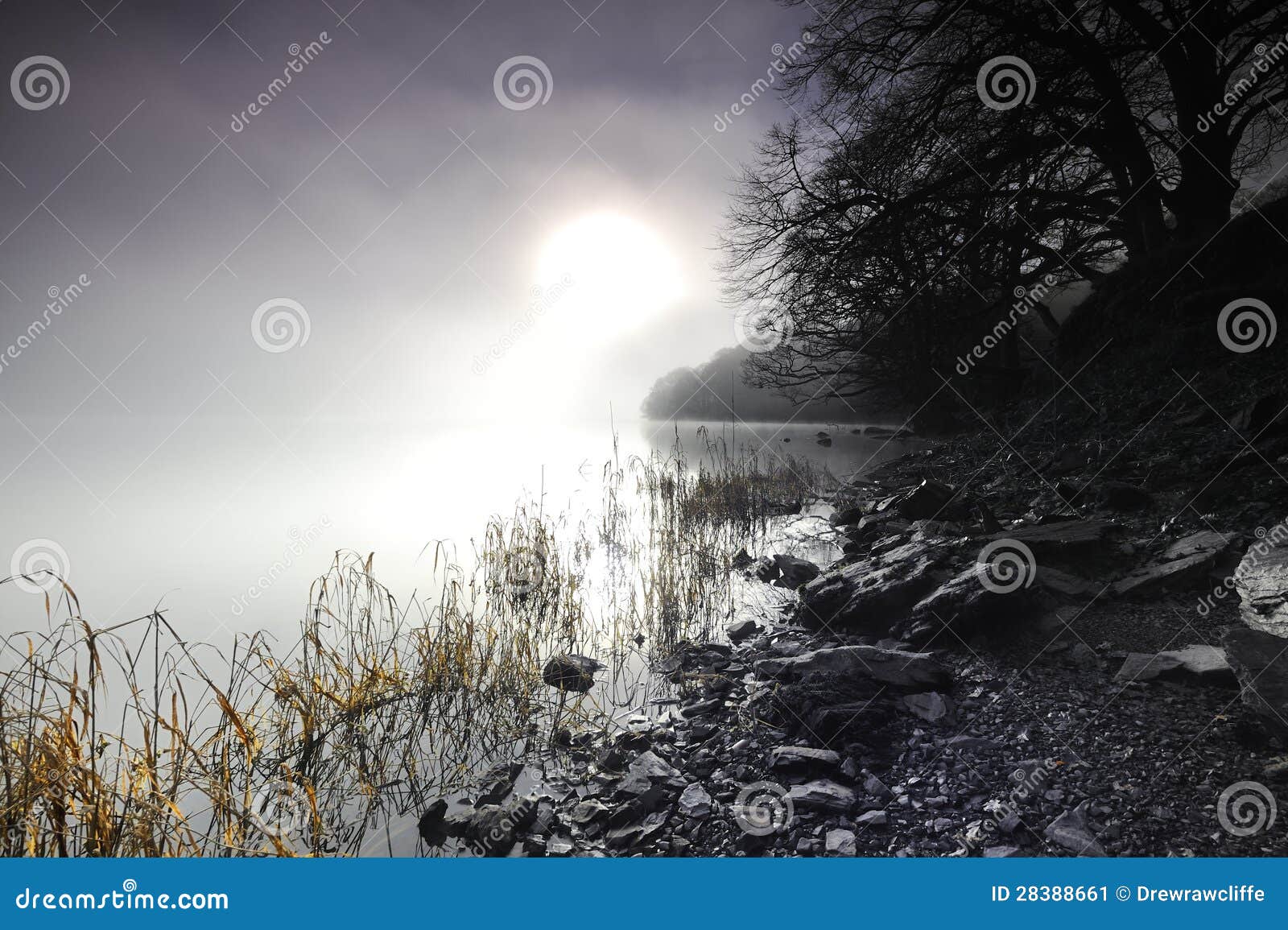 Misty Morning stock image. Image of morning, early, national - 28388661