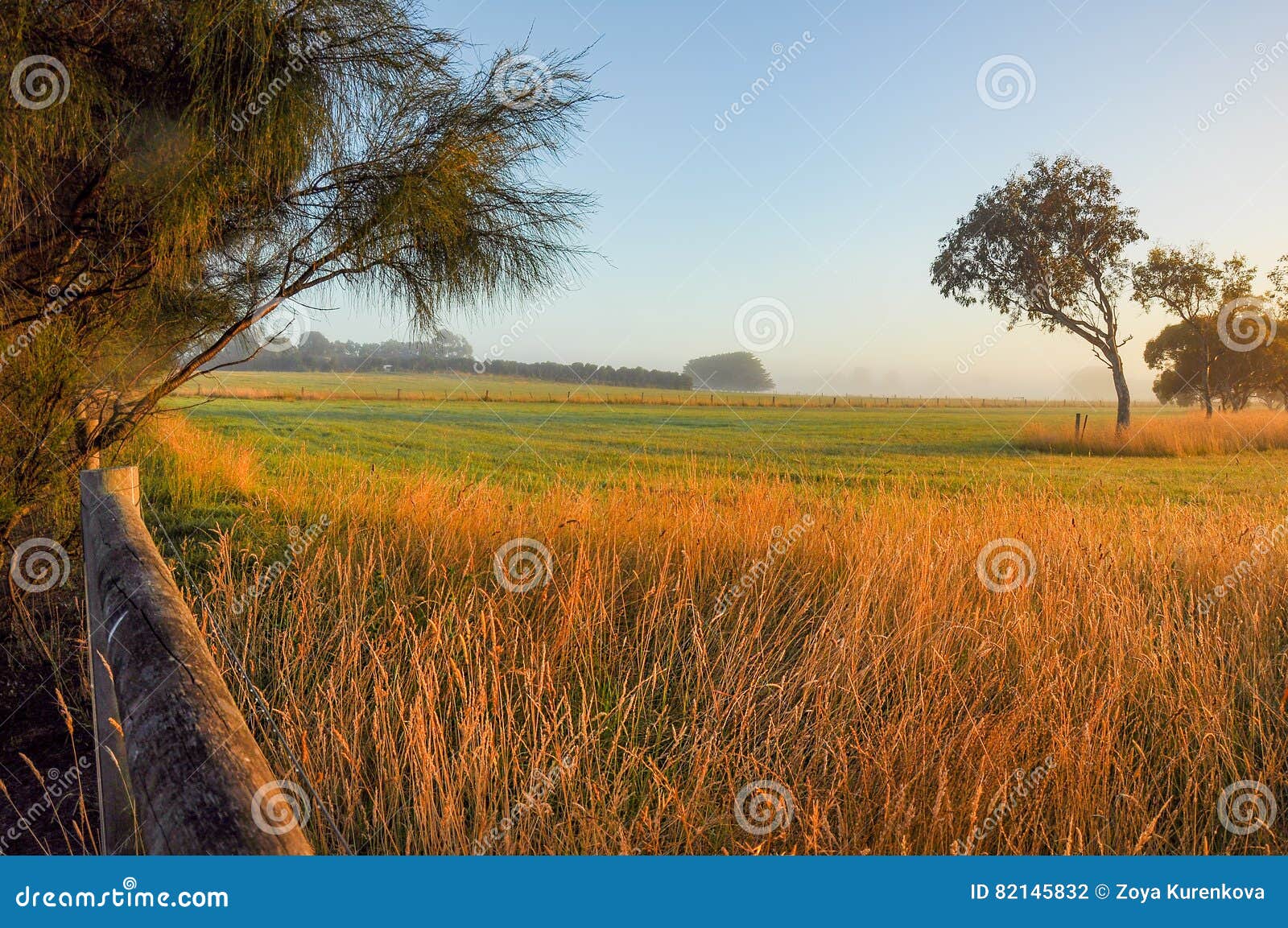 Misty Morning in the Countryside Stock Photo - Image of fence, dawn ...