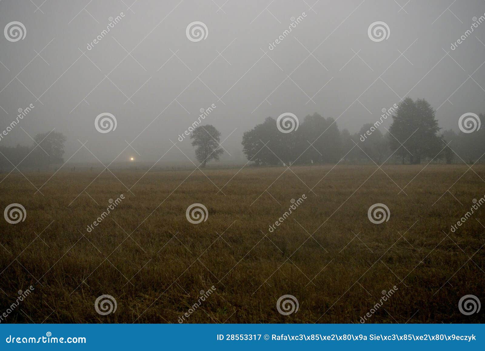 Misty morning field stock image. Image of dull, unsettled - 28553317