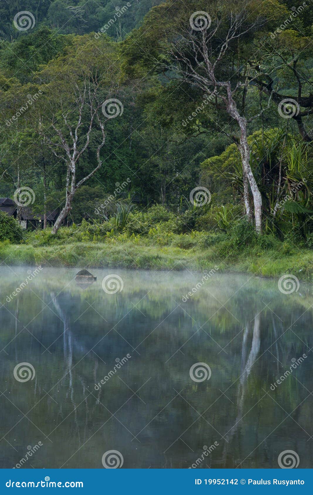 Misty Morning Landscape stock photo. Image of rain, countryside - 19952142
