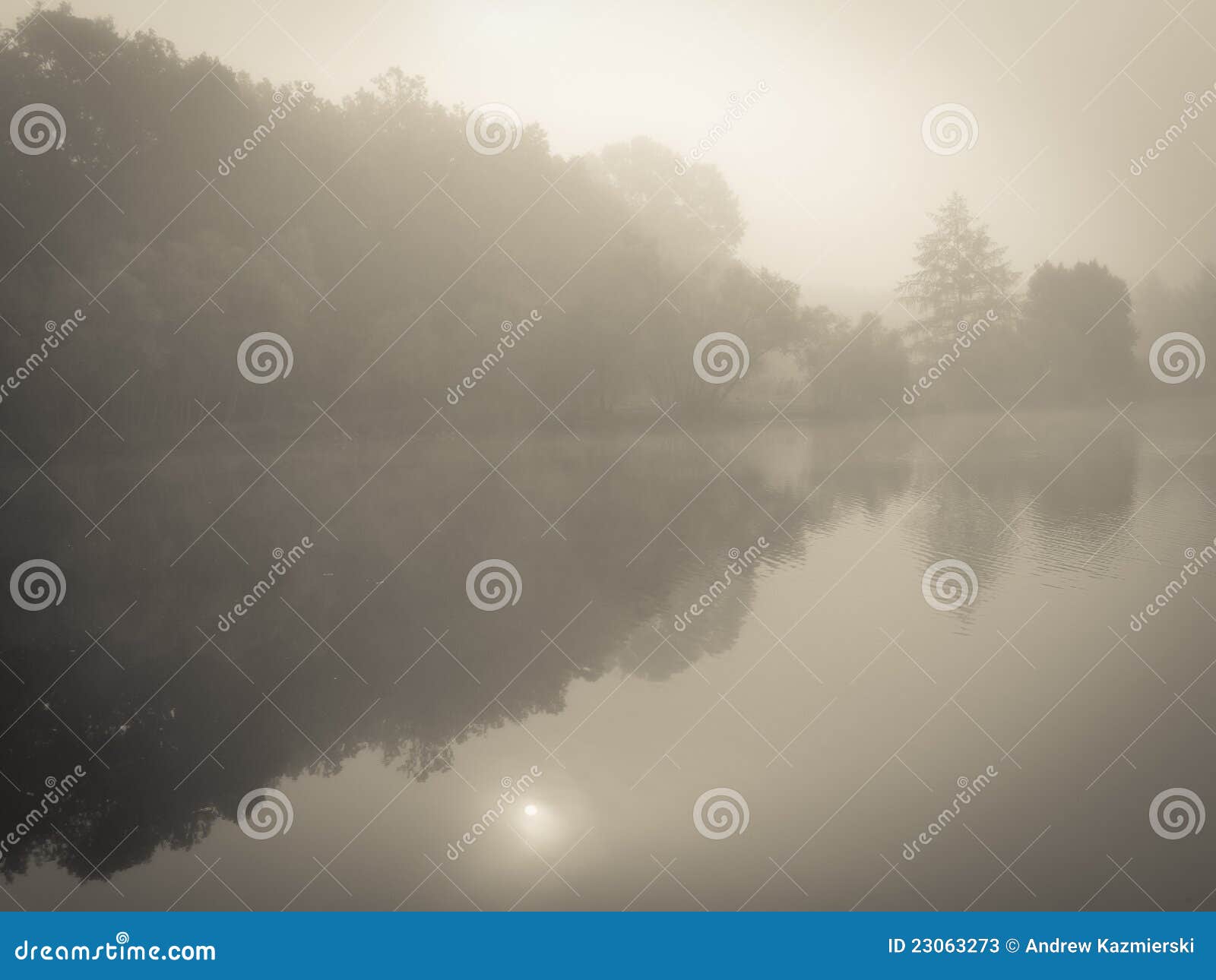 Misty Morning Light stock image. Image of weather, wood - 23063273