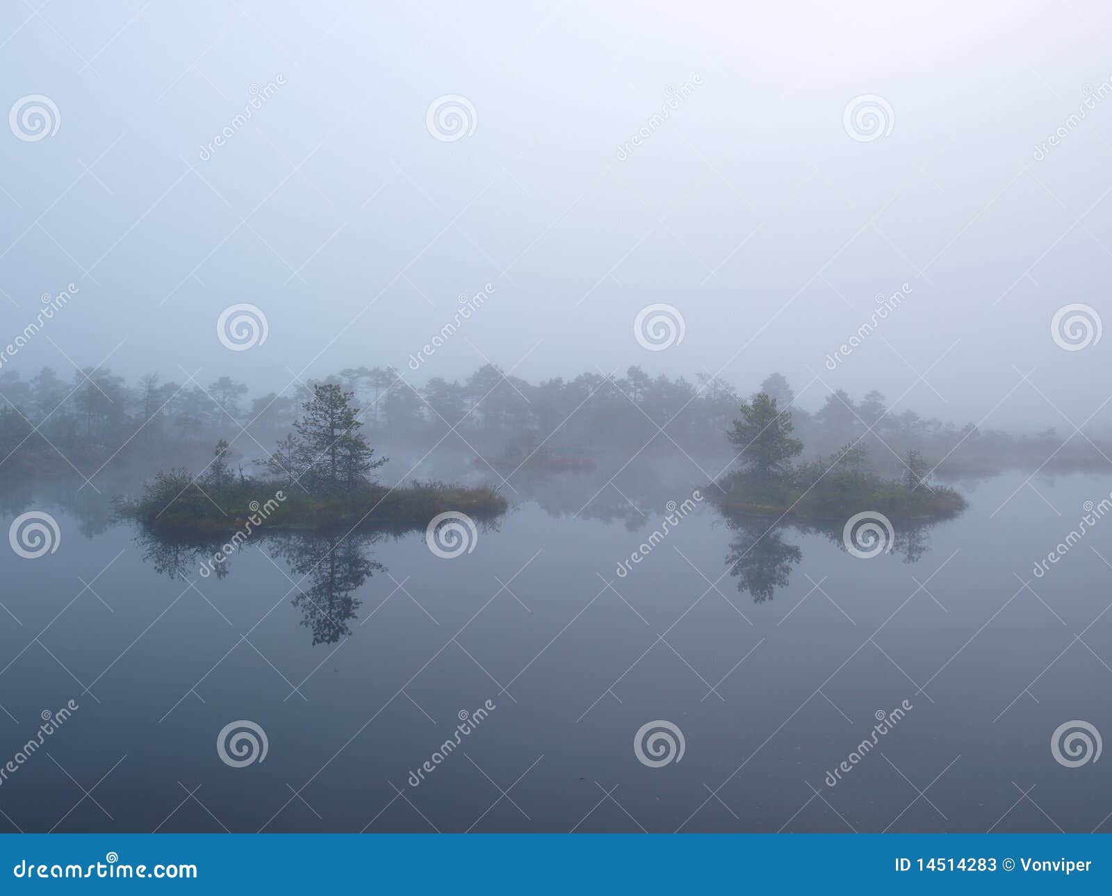 Misty morning in marsh stock image. Image of calm, marsh - 14514283