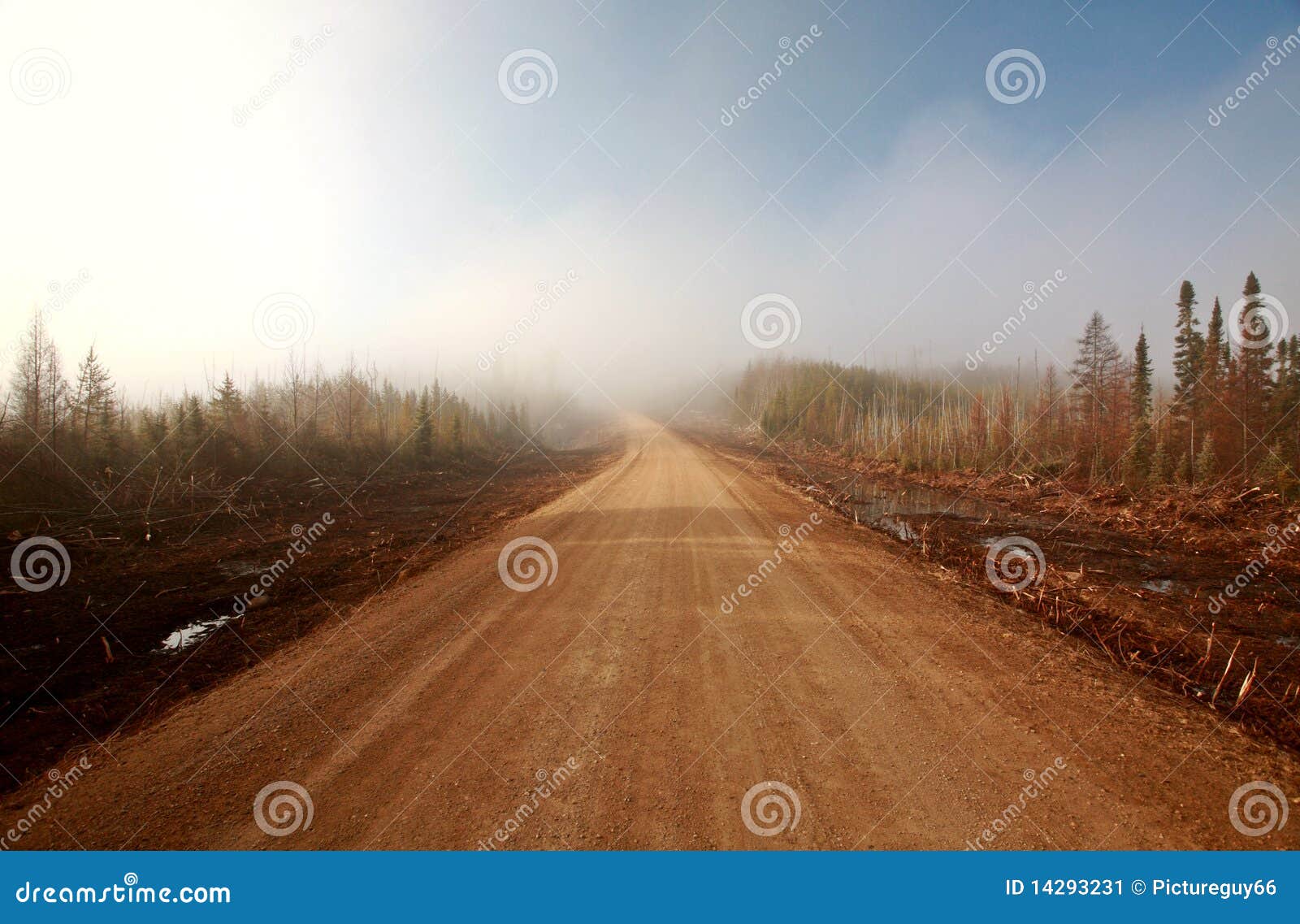 Misty Morning Road in Spring Saskatchewan Stock Image - Image of ...