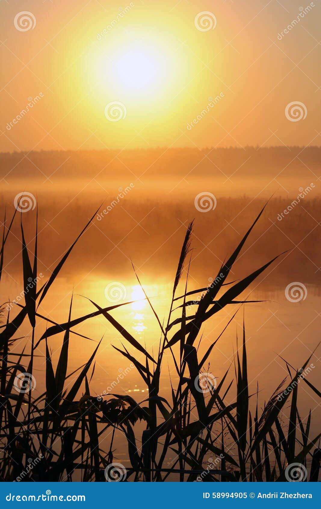 Misty Morning on a Small River Stock Image - Image of beams, pond: 58994905