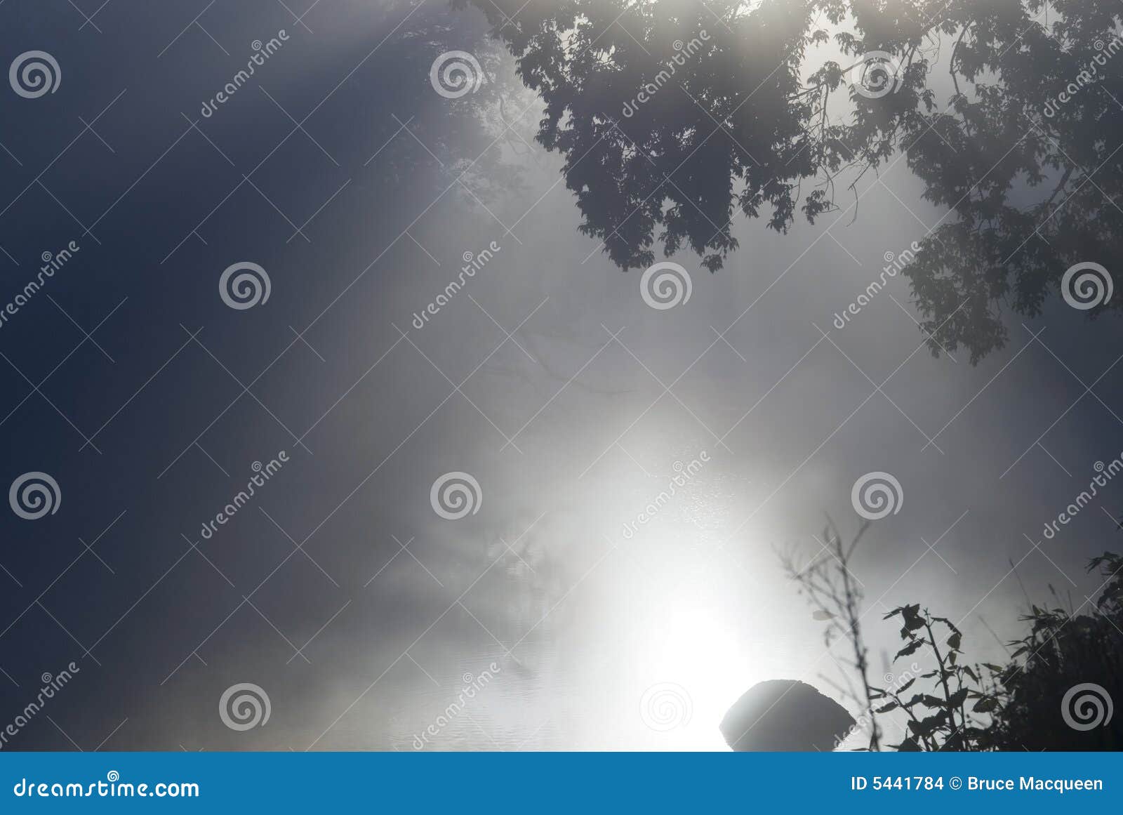 Misty Morning Stream stock photo. Image of stream, misty - 5441784