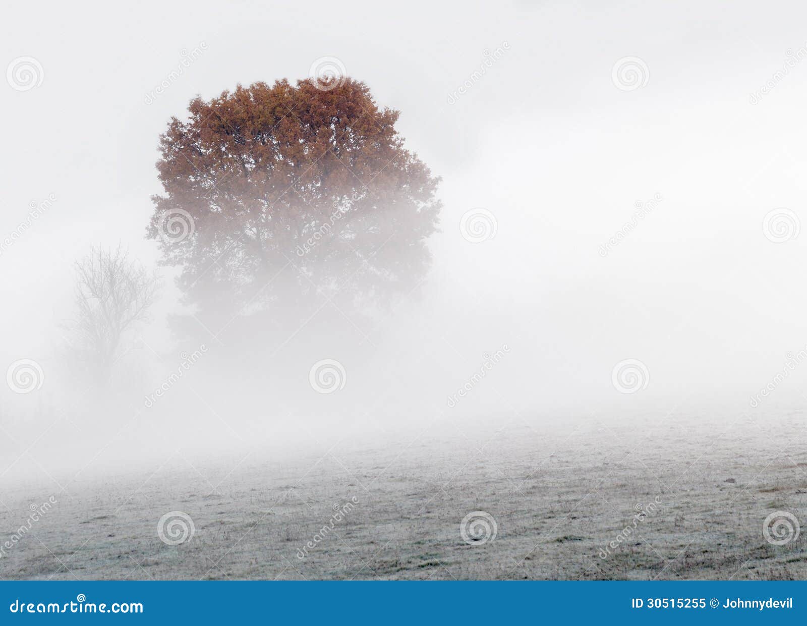 Misty Morning stock image. Image of country, exterior - 30515255
