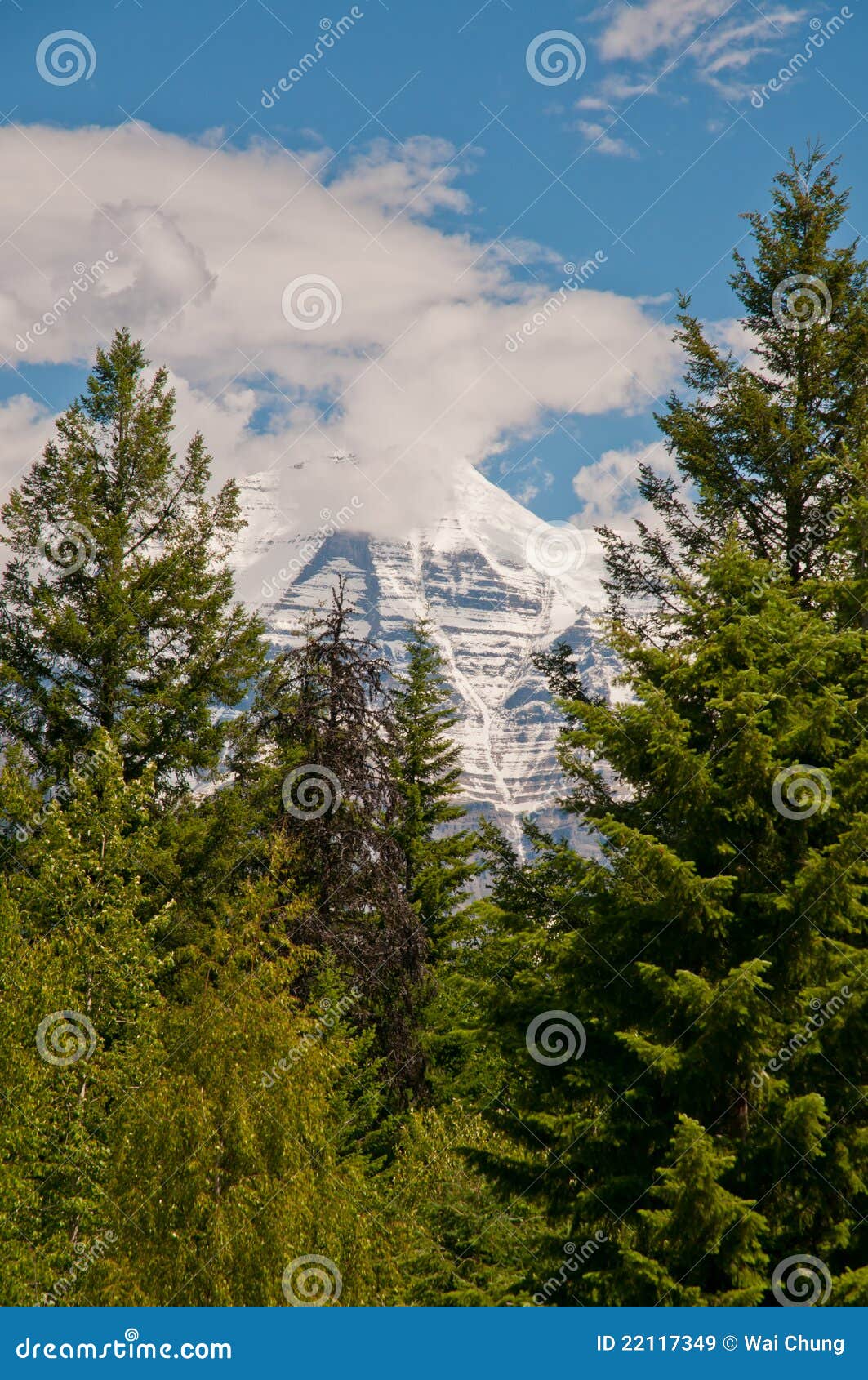 Misty Mount Robson stock image. Image of detail, rockies - 22117349