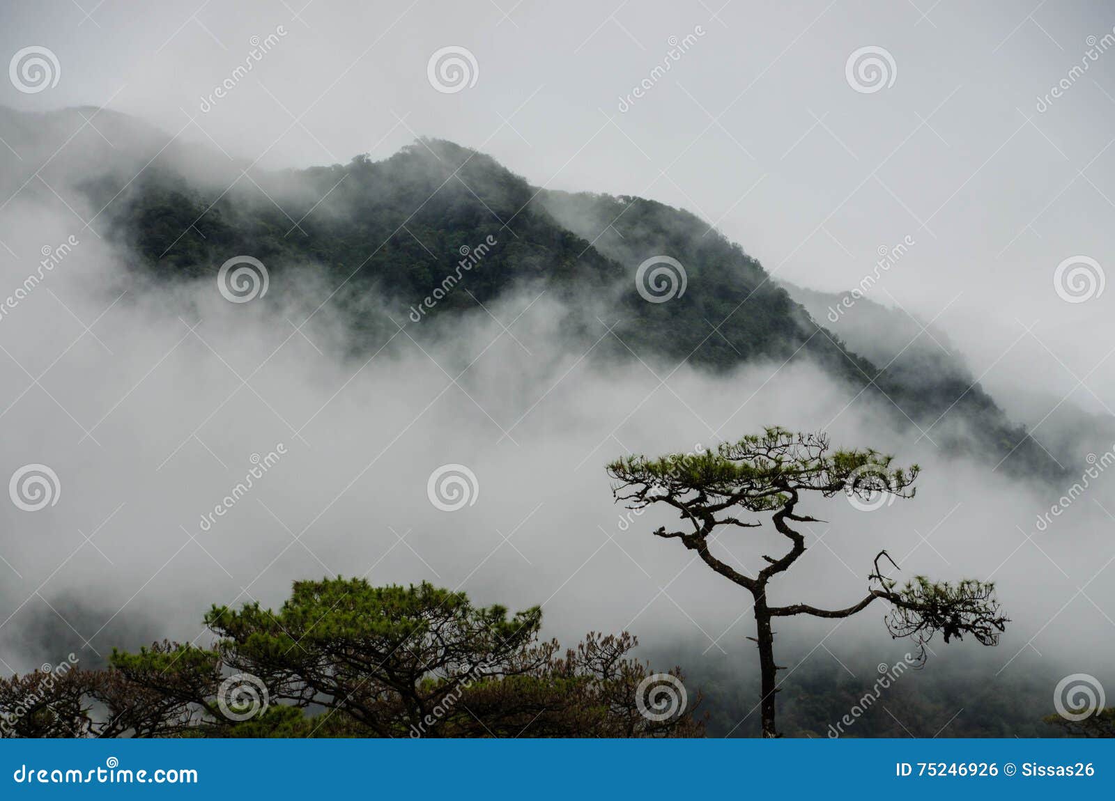 Misty mountain stock photo. Image of beautiful, outdoor - 75246926