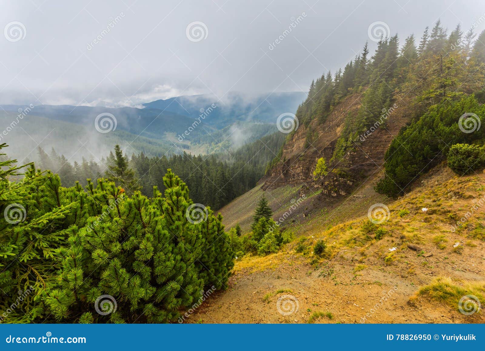 Misty Mountain Valley Scene Stock Photo - Image of clouds, landscape ...