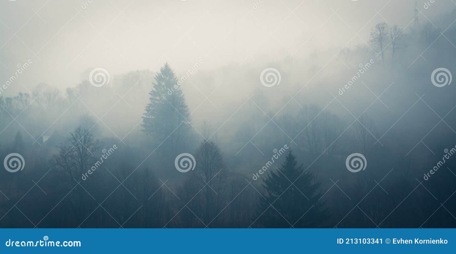 Misty Mountains Landscape with Trees Stock Image - Image of autumn ...