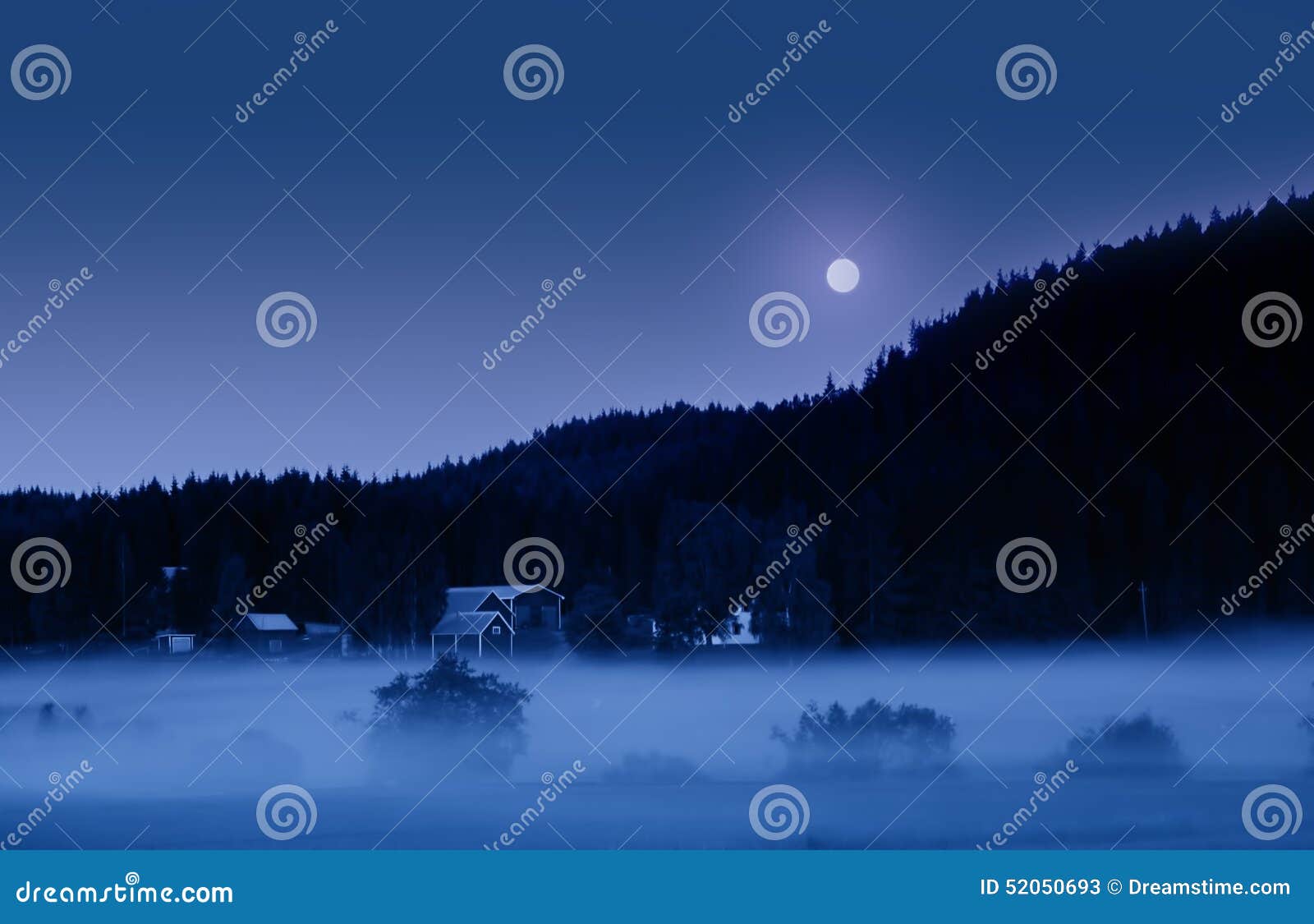 Misty Night on Midsummer stock image. Image of thick - 52050693