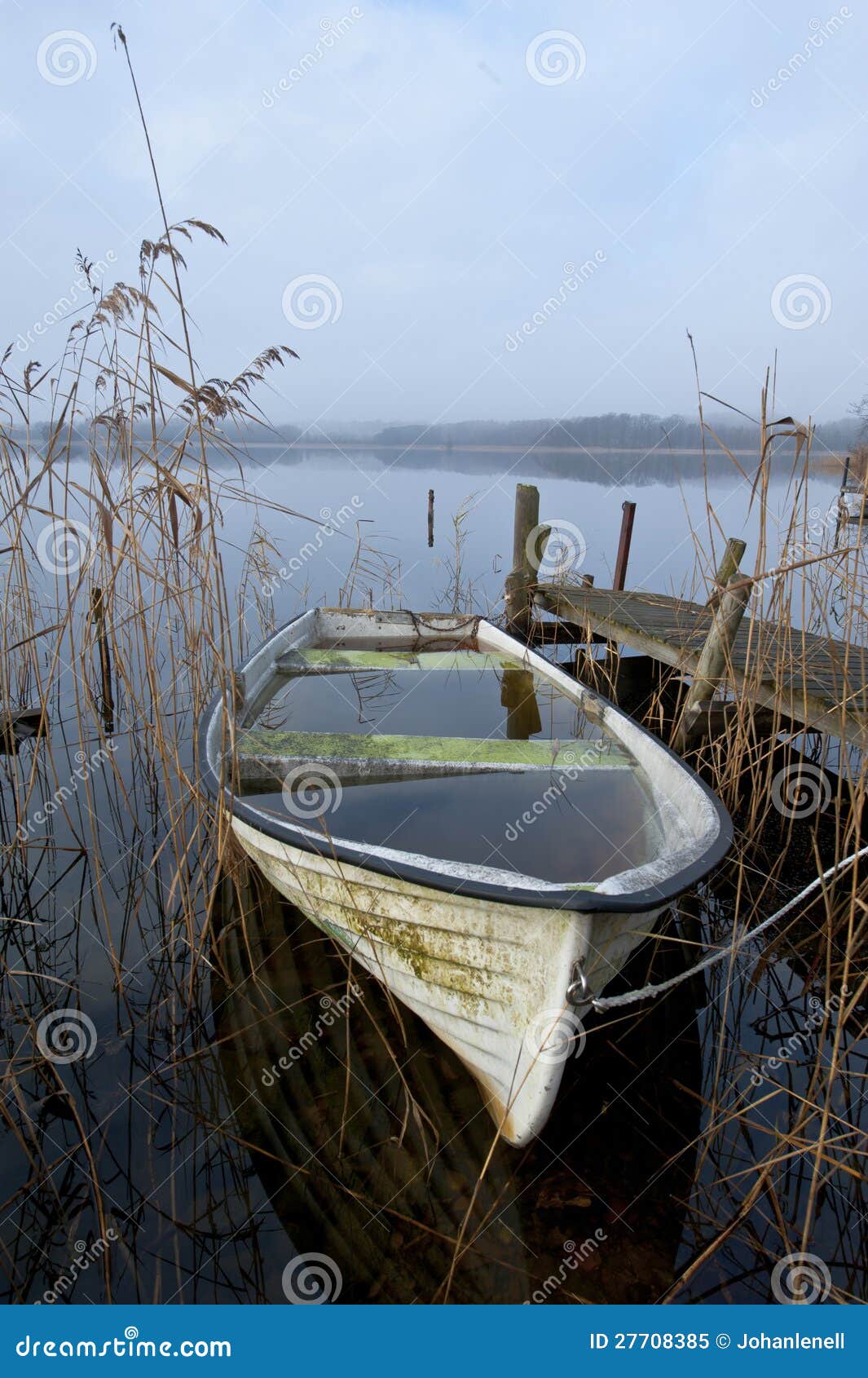 Misty November Morning at Lake Stock Image - Image of alone, horizon ...