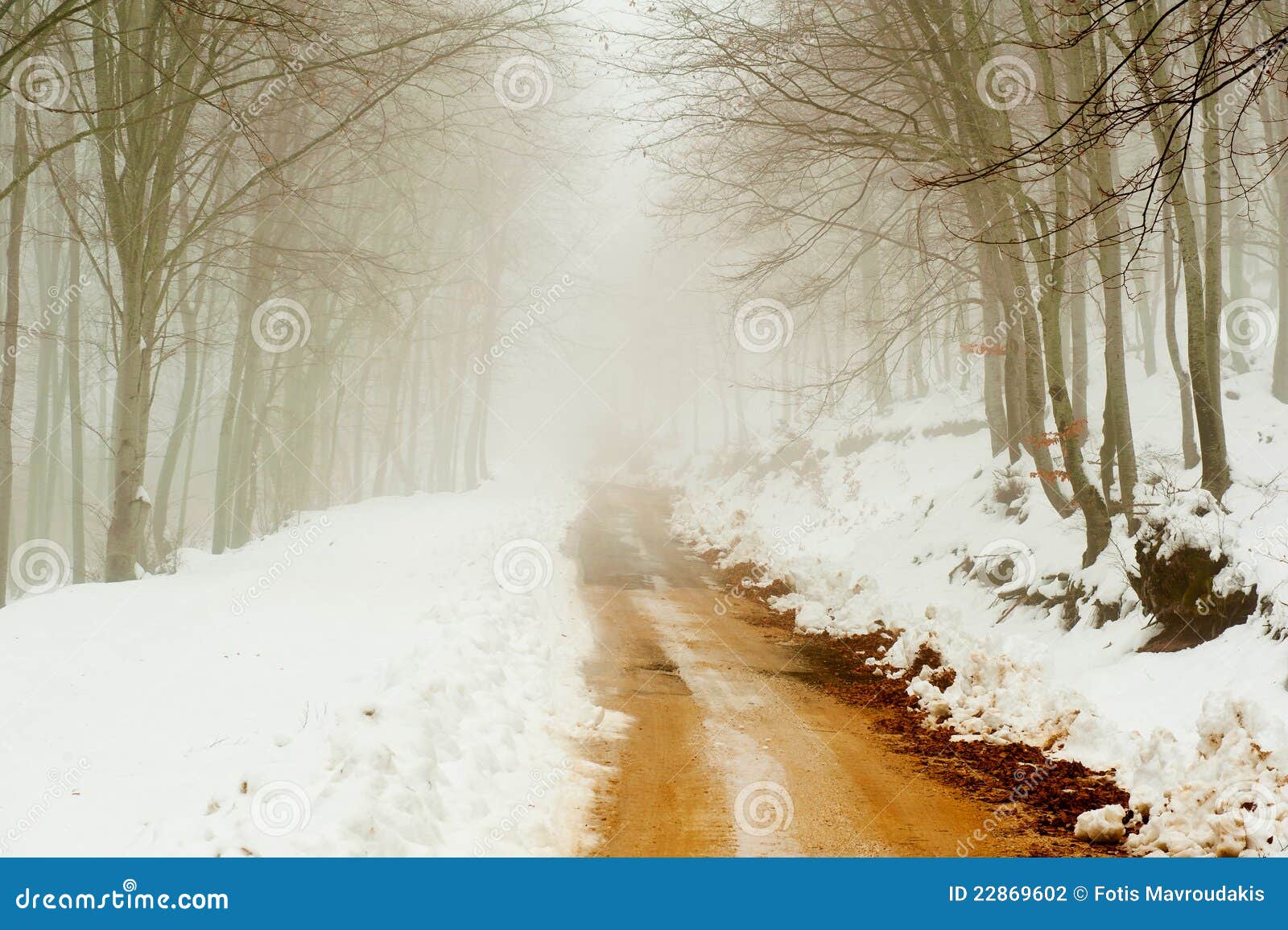 Misty path stock photo. Image of diminishing, park, holidays - 22869602