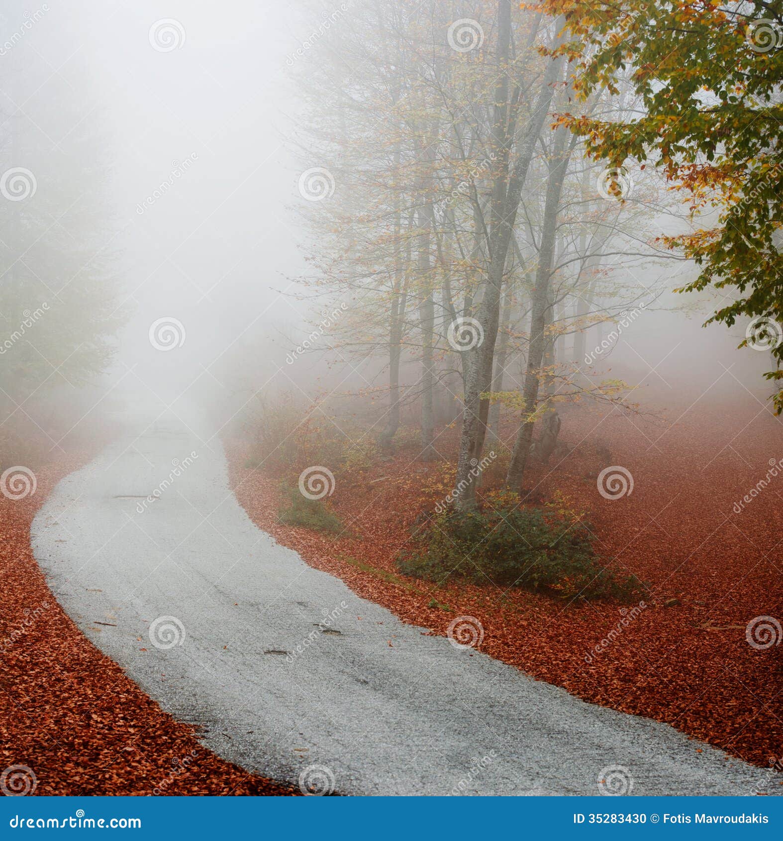 Misty path stock photo. Image of detail, motion, bright - 35283430