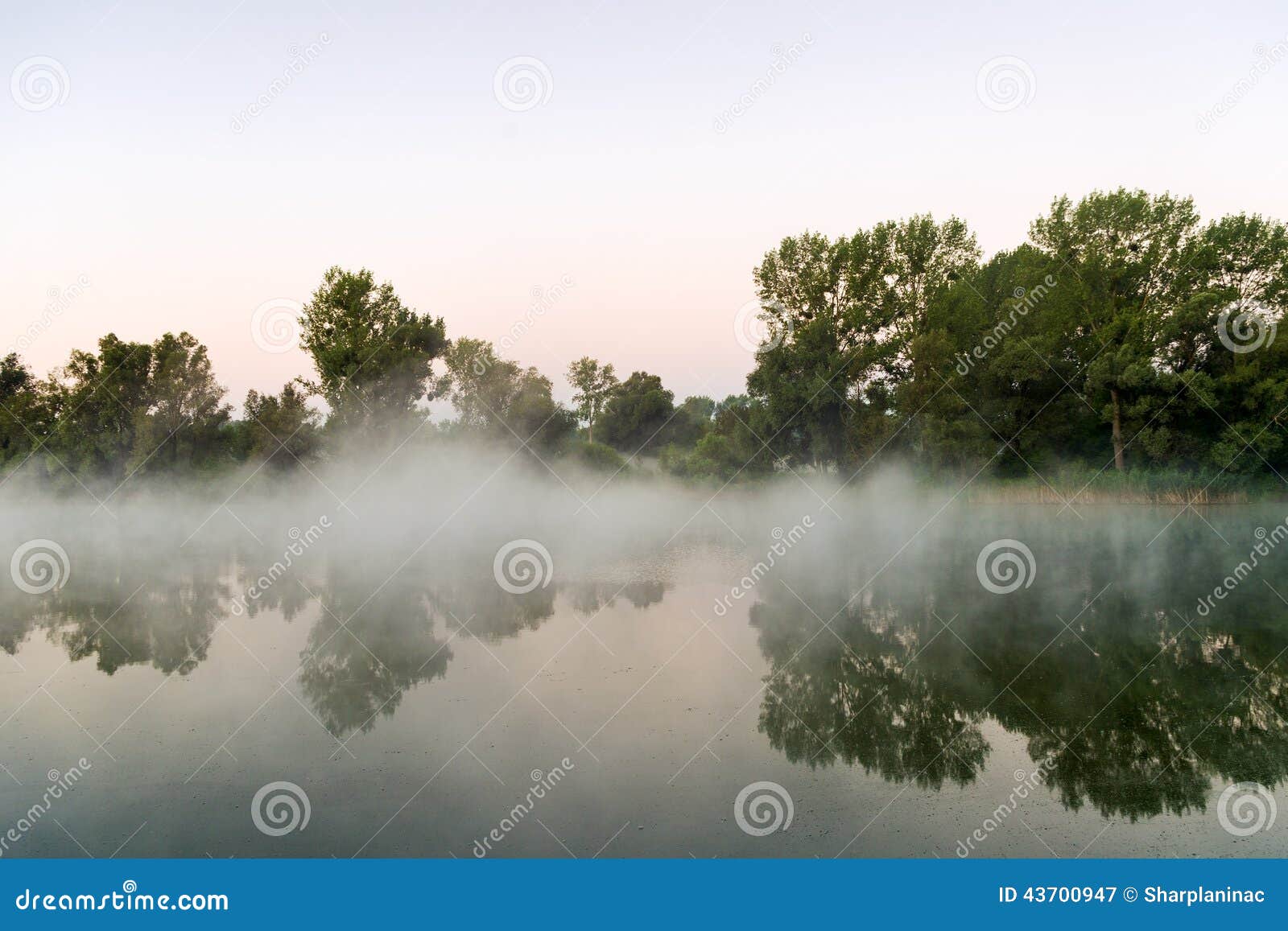 Misty pond reflection stock image. Image of mirror, mist - 43700947