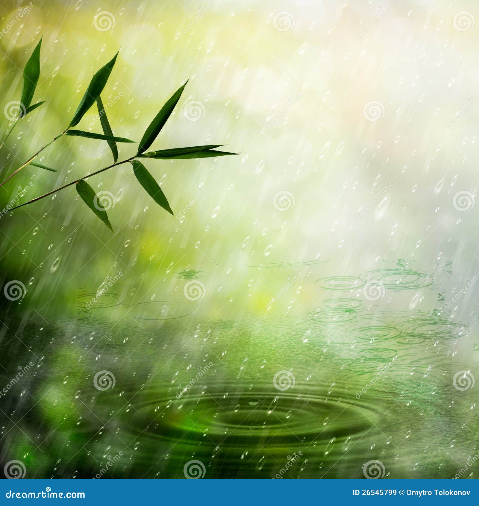 Misty Rain in the Bamboo Forest Stock Image - Image of health, abstract ...