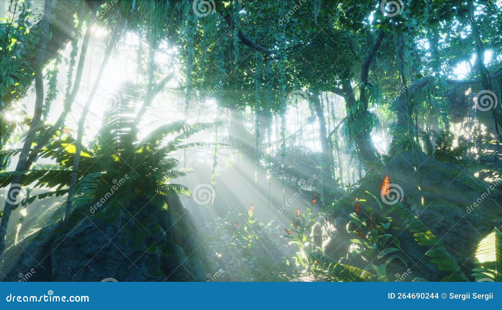 Misty Rainforest and Bright Sun Beams through Trees Branches Stock ...