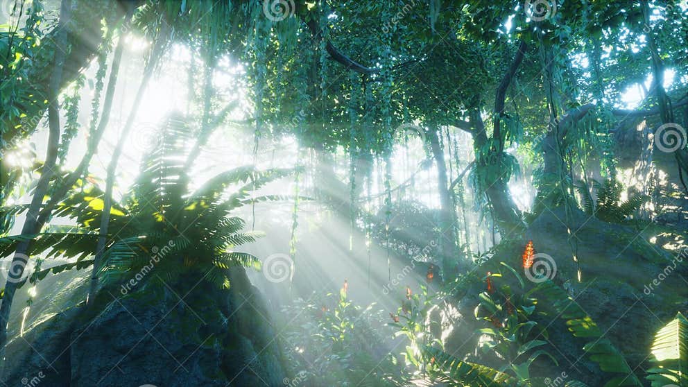 Misty Rainforest and Bright Sun Beams through Trees Branches Stock ...