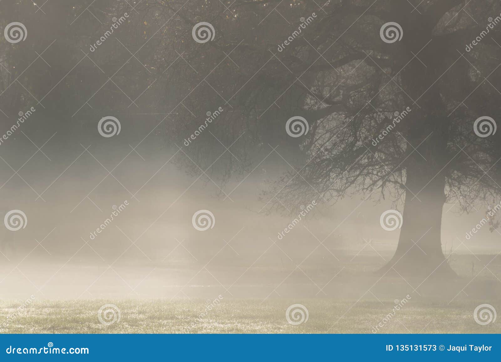 Misty rays of sunshine stock image. Image of southampton - 135131573