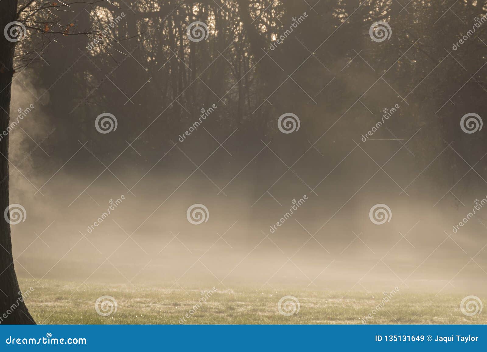Misty rays of sunshine stock image. Image of sunshine - 135131649