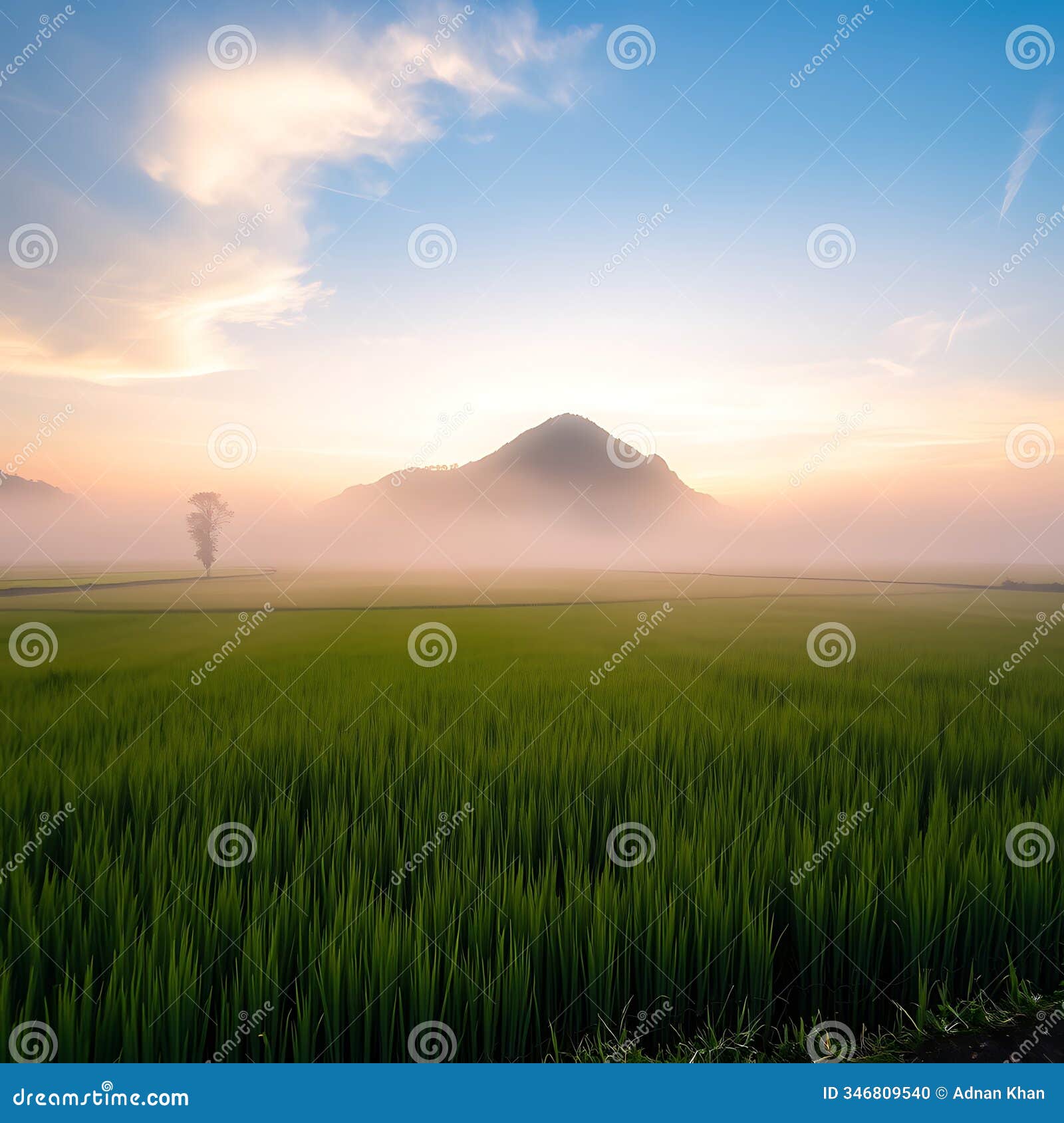 Misty Rice Fields in the Philippines at Dawn Stock Illustration ...