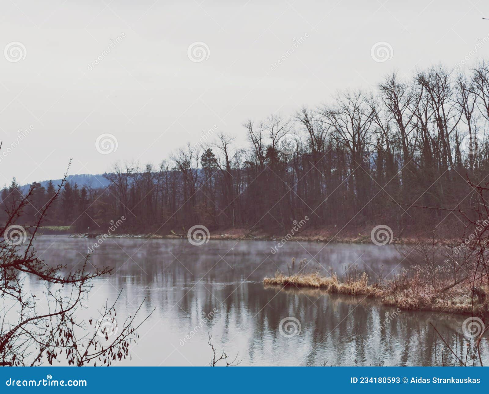 Misty River with a Treeline in Background Stock Image - Image of lake ...