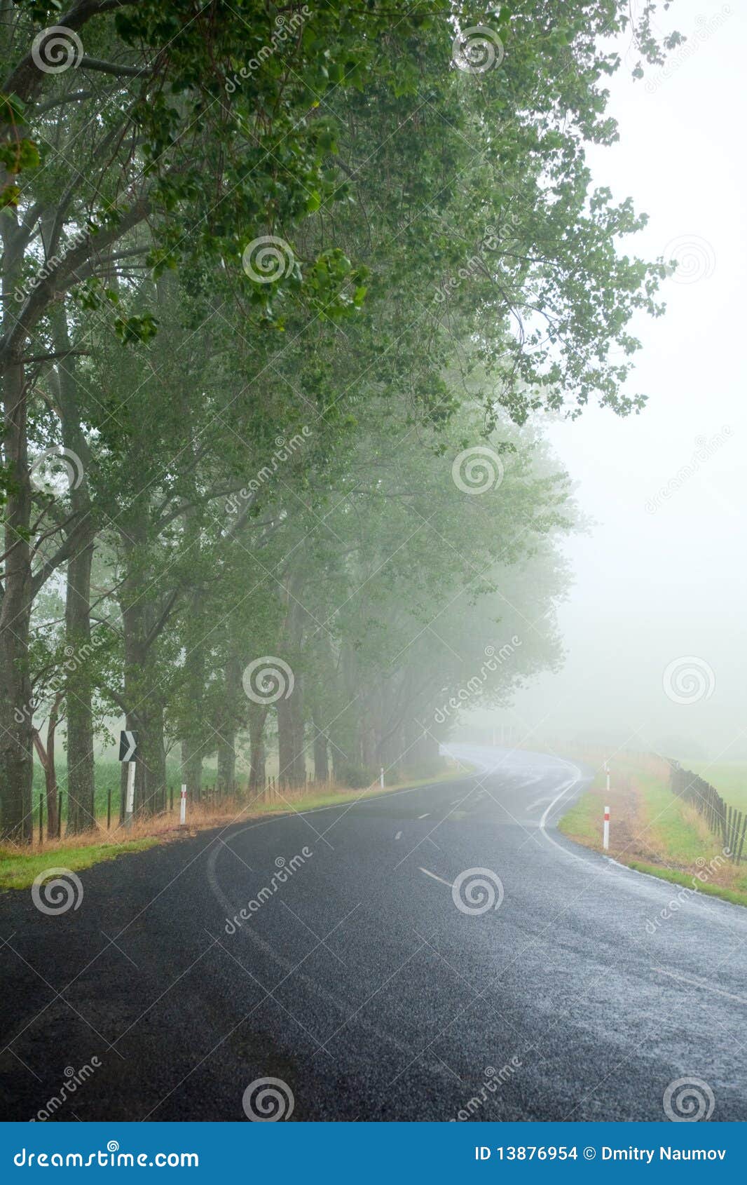 Misty road stock photo. Image of haze, scenic, lane, misty - 13876954
