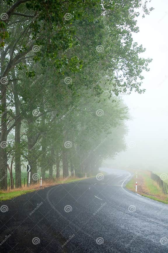 Misty road stock photo. Image of haze, scenic, lane, misty - 13876954