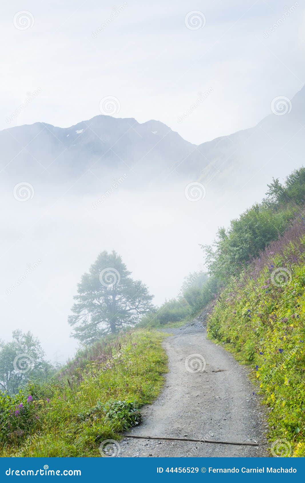 Misty road stock image. Image of background, hill, bucolic - 44456529